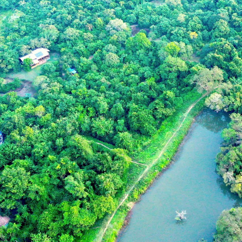 Wildlife Photography Birdwatching and Majestic Elephant Encounters on ...